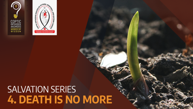 Coptic Orthodox Answers | Answers from an apostolic faith