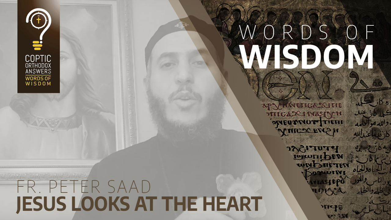 Apostolic Answers | Answers, from an apostolic faith